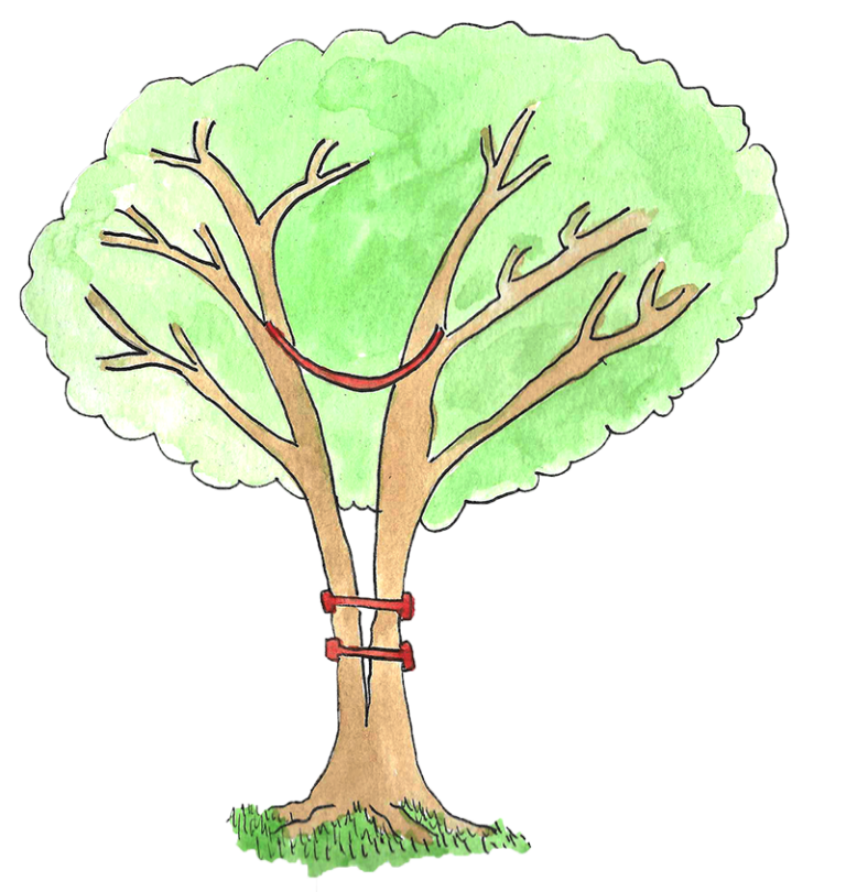 Le haubanage c’est quoi ? - Elagage Ariege